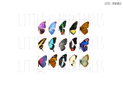 Butterfly Wing Match – Little Printables